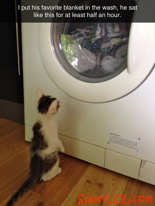 You're Ruining it! - SuperLOL