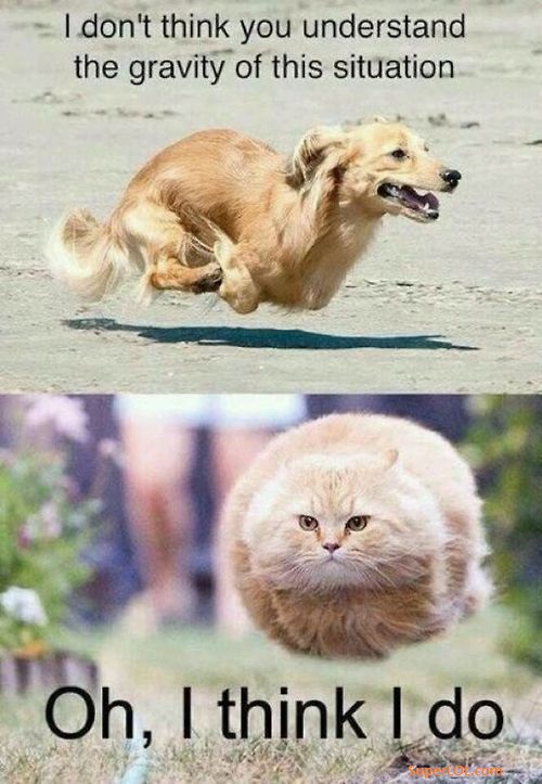 Gravity Meme - SuperLOL